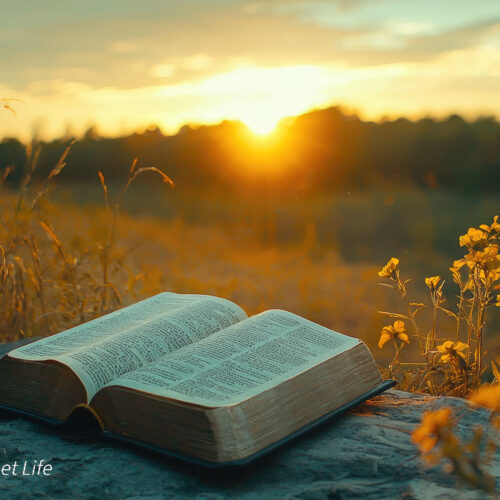 Homepage - Our Naturally Sweet Life