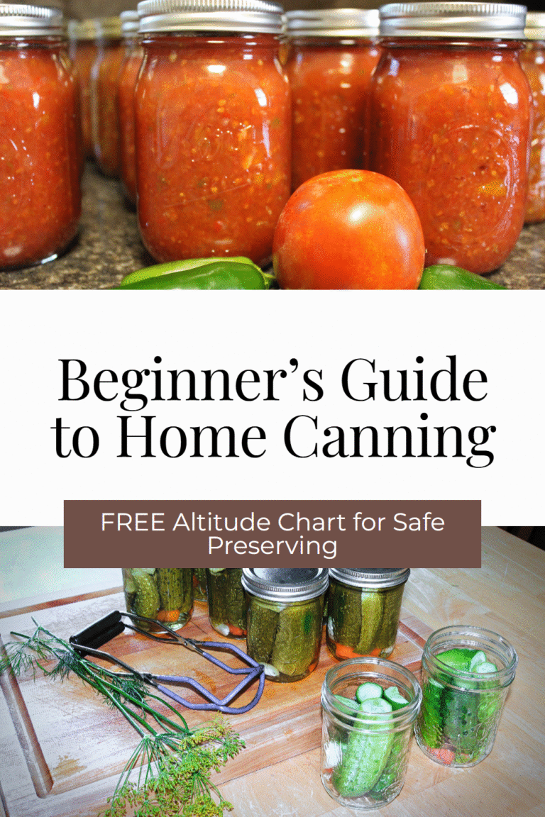 Beginner’s Guide to Home Canning: Introduction to the Basics - Our ...